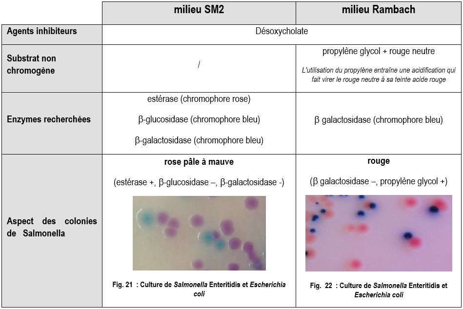 Examen microbiologique des selles - microbiologiemedicale.fr