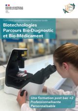 Qu'est ce qu'une bactériémie